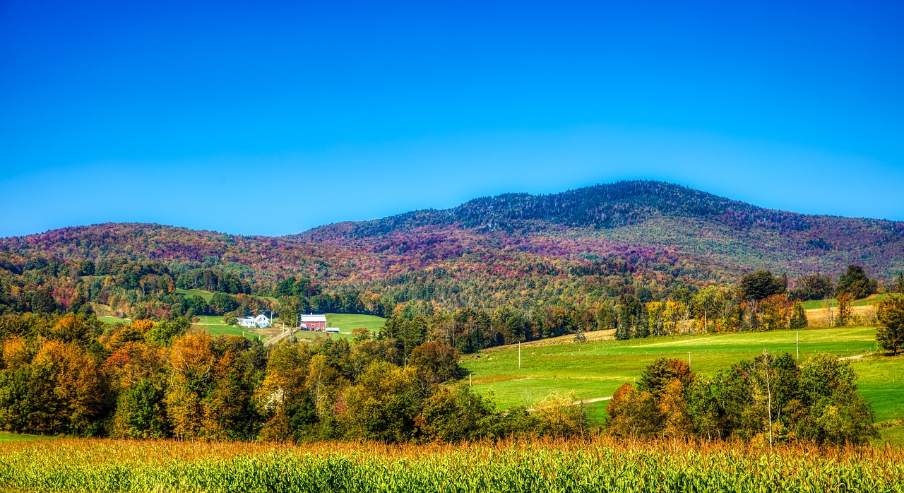 Historic Vermont Floods: Resilience and Support at Gold Shaw Farm’s 24 ...